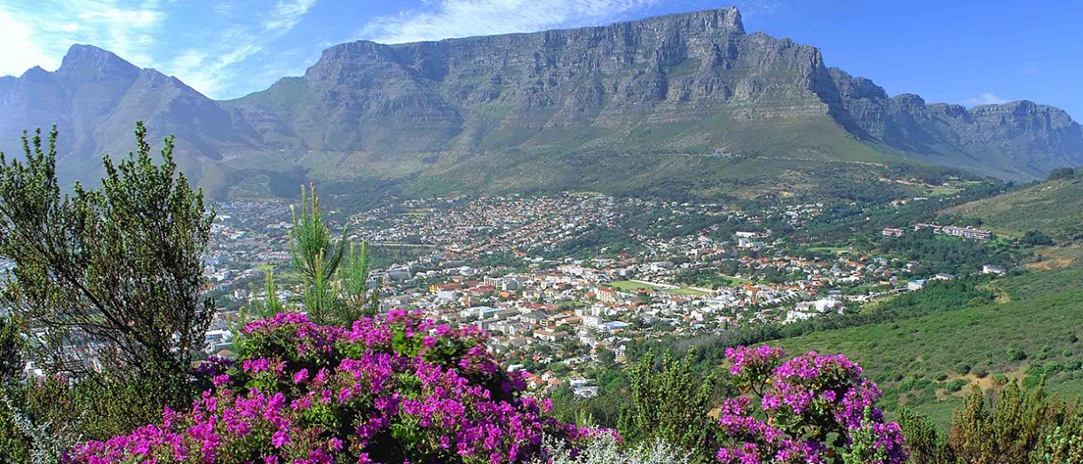 South Africa: A Discovery Journey of Cape Town, The Winelands, and a Safari in Kruger National Park